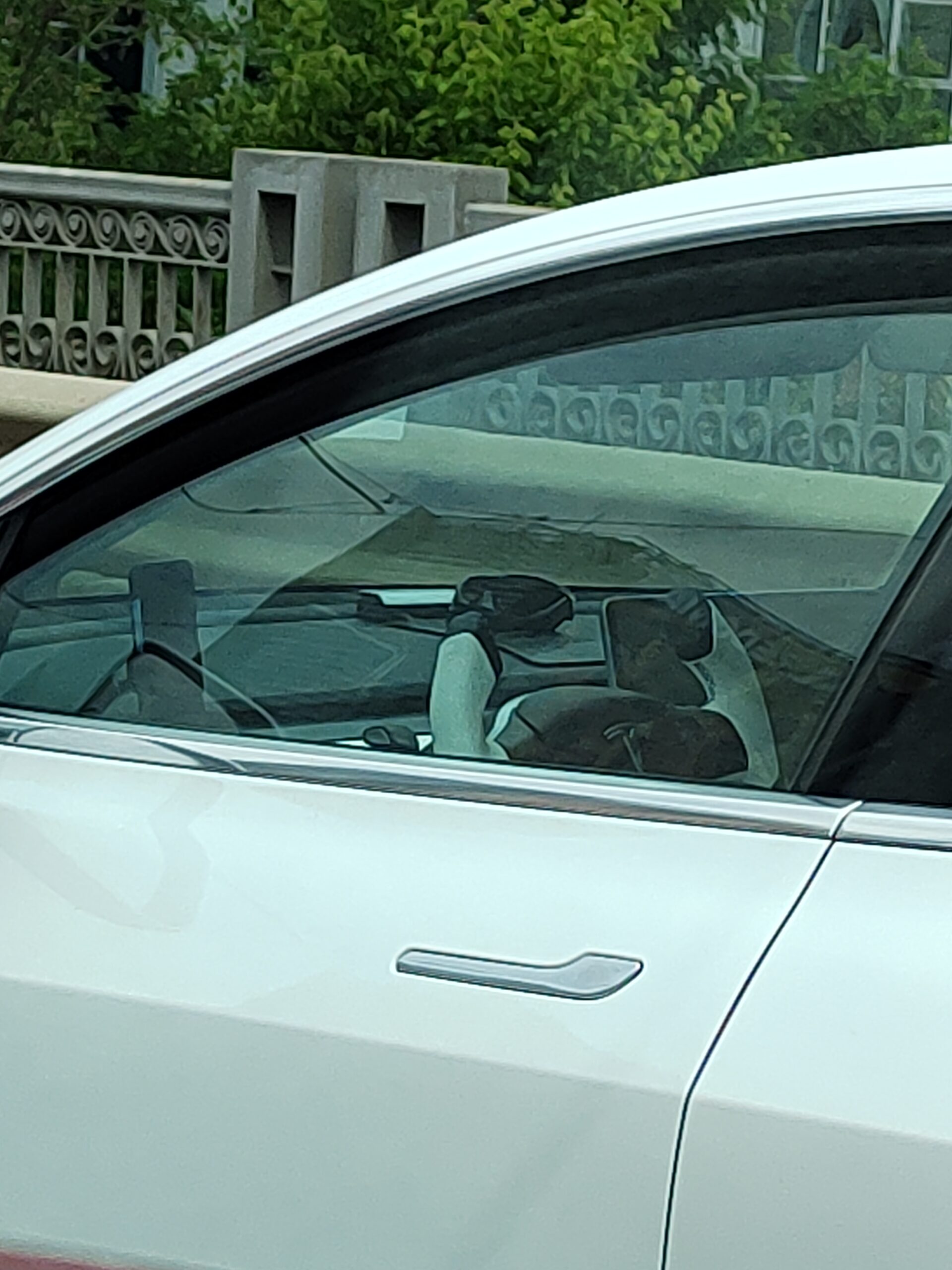 Volanul custom de Tesla care eclipsează până și faimosul „Yoke” - VIDEO