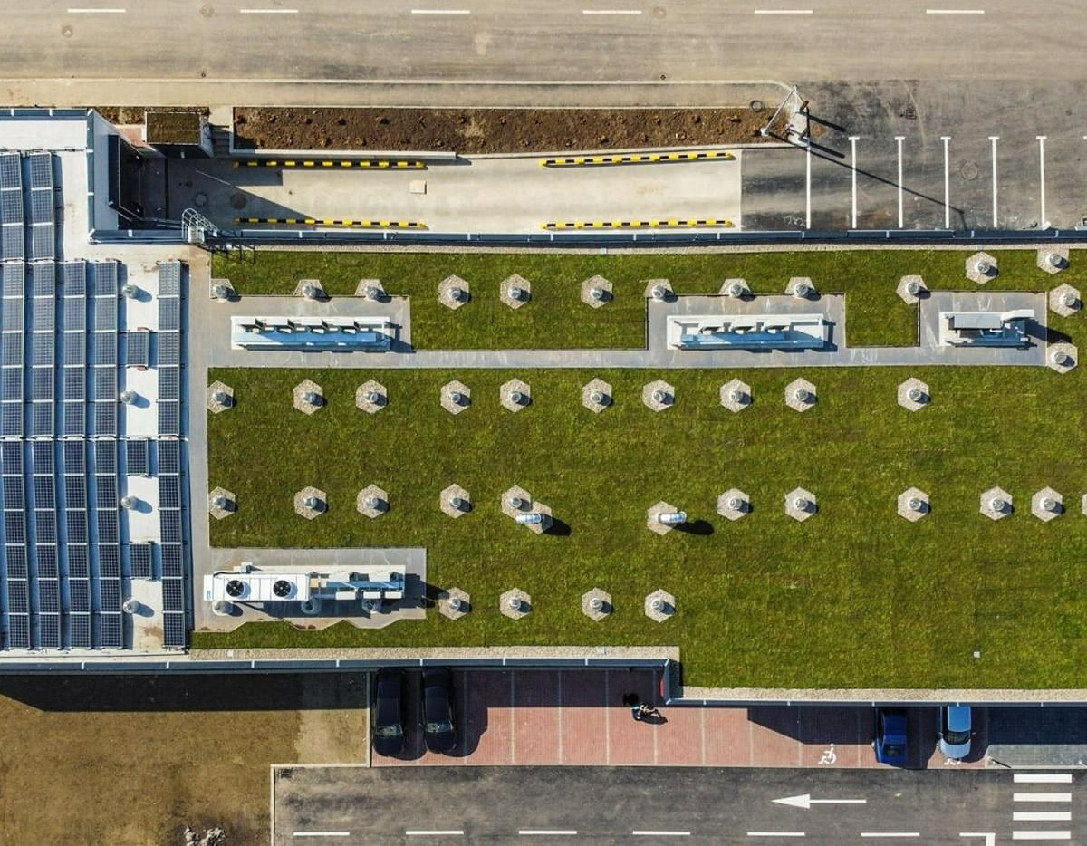 (P) Performanțele energetice acoperișurilor verzi